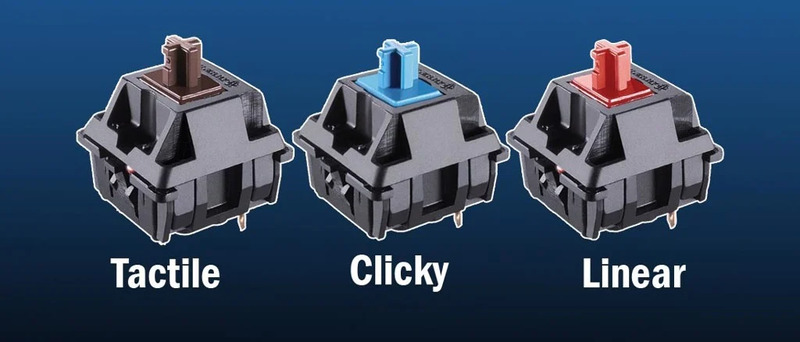 Switch Linear là gì? Phân biệt giữa Linear, Tactile & Clicky